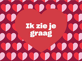 Ik zie je graag - Bongo