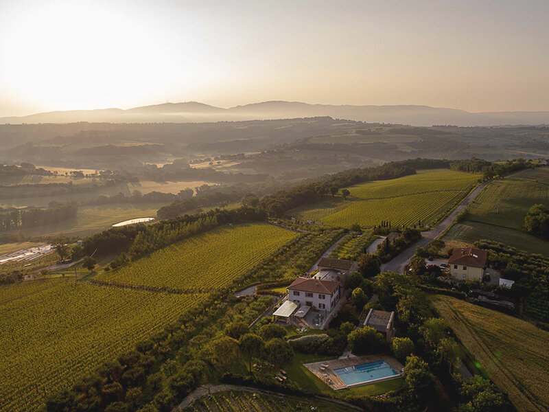 Charme tra vino e relax: 1 o 2 notti con accesso alla Spa, visita alla cantina e degustazione ...